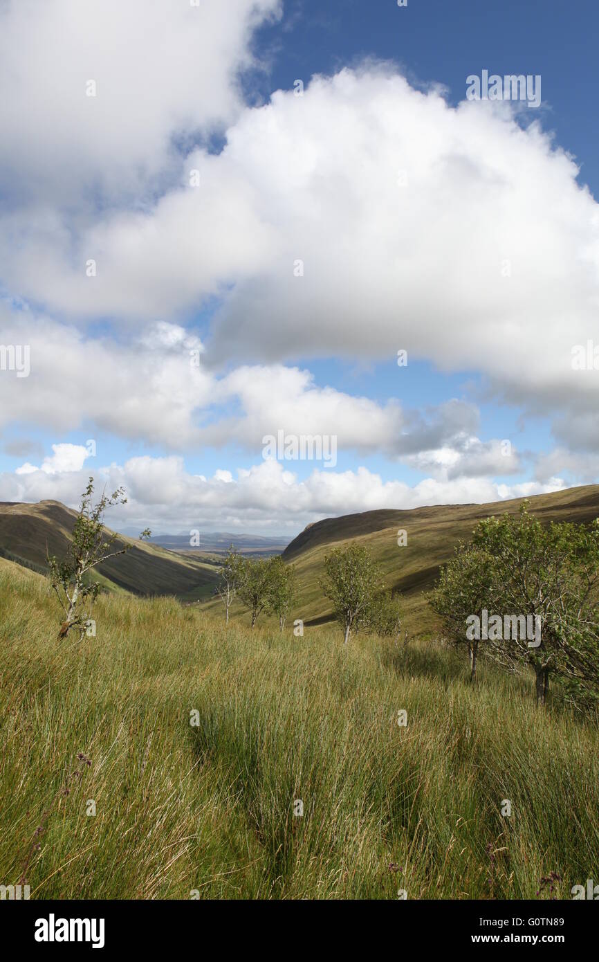 The Glengesh Pass on the R230 south of Ardara, County Donegal, Republic ...