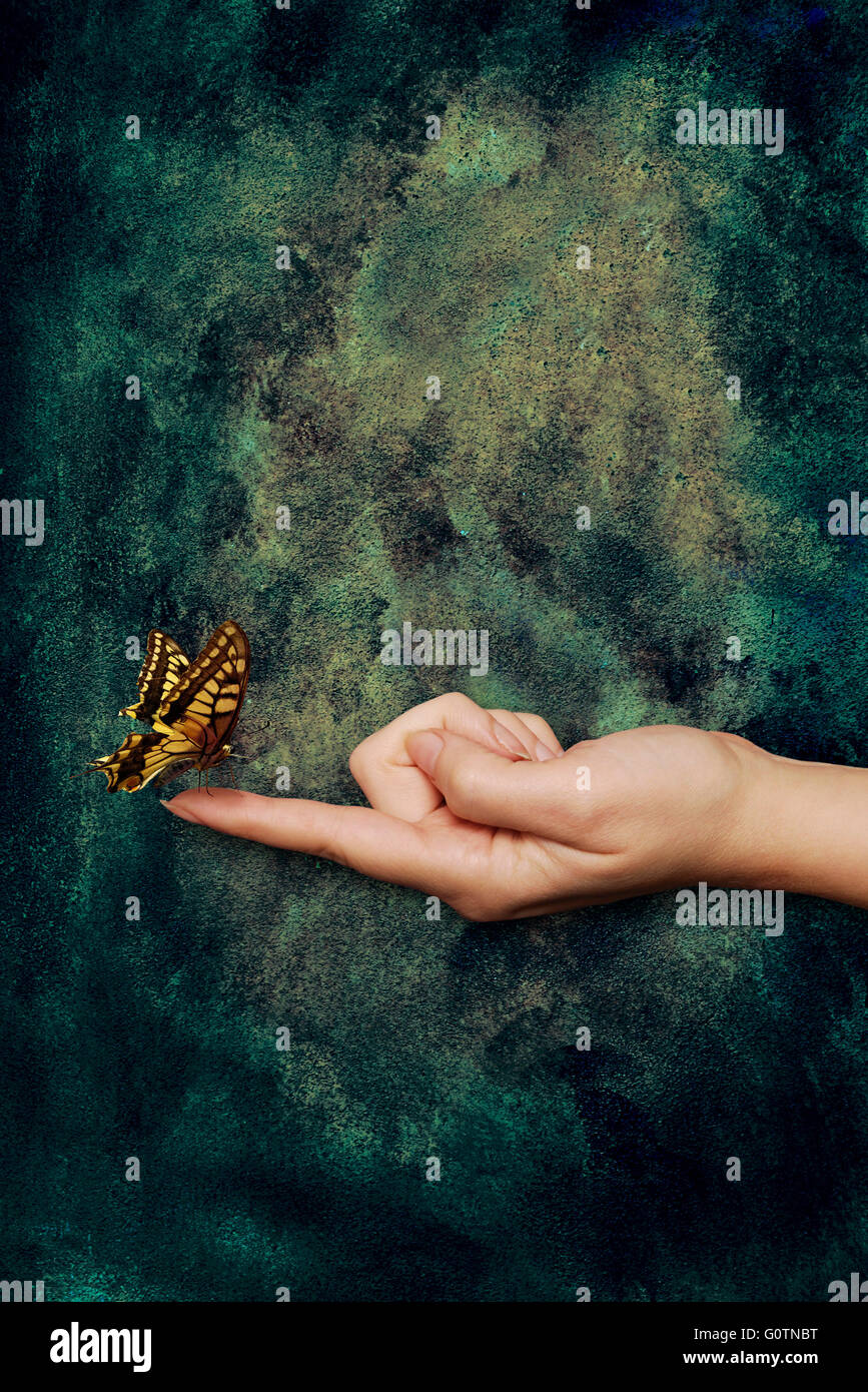 woman hand keeping a butterfly on her finger Stock Photo - Alamy