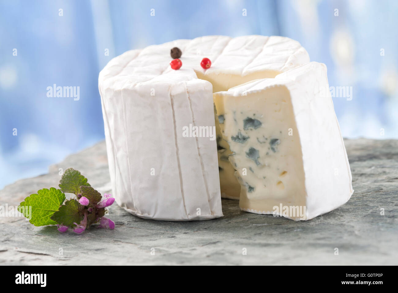 French blue cheese Bresse Bleu Stock Photo - Alamy