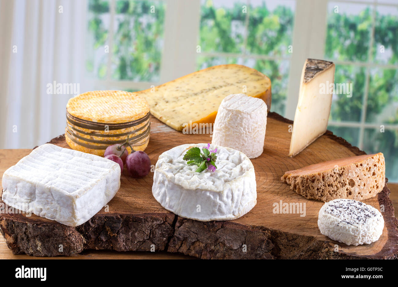 Assorted cheeses in various shapes and sizes Stock Photo - Alamy