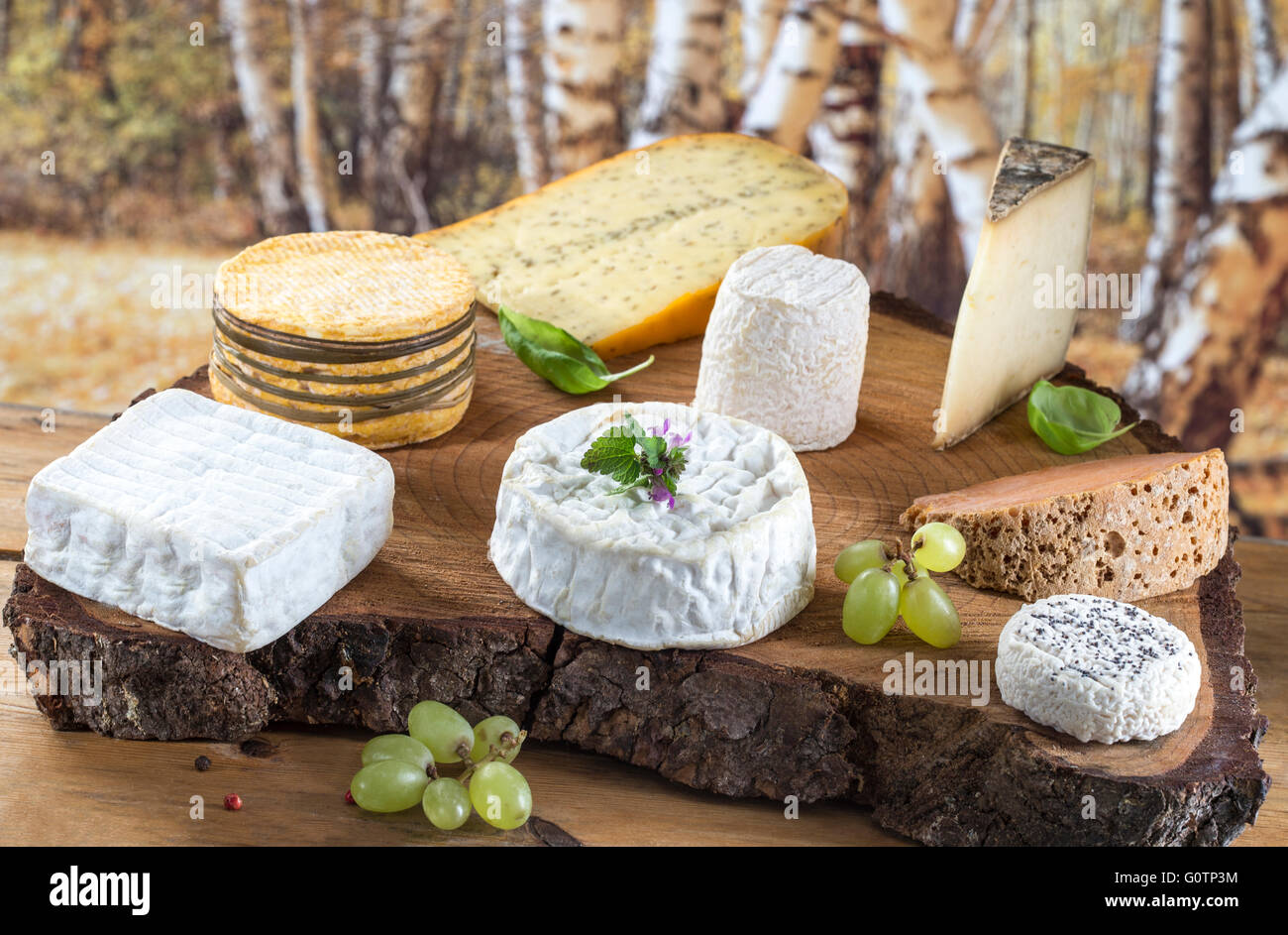 Assorted cheeses in various shapes and sizes Stock Photo - Alamy
