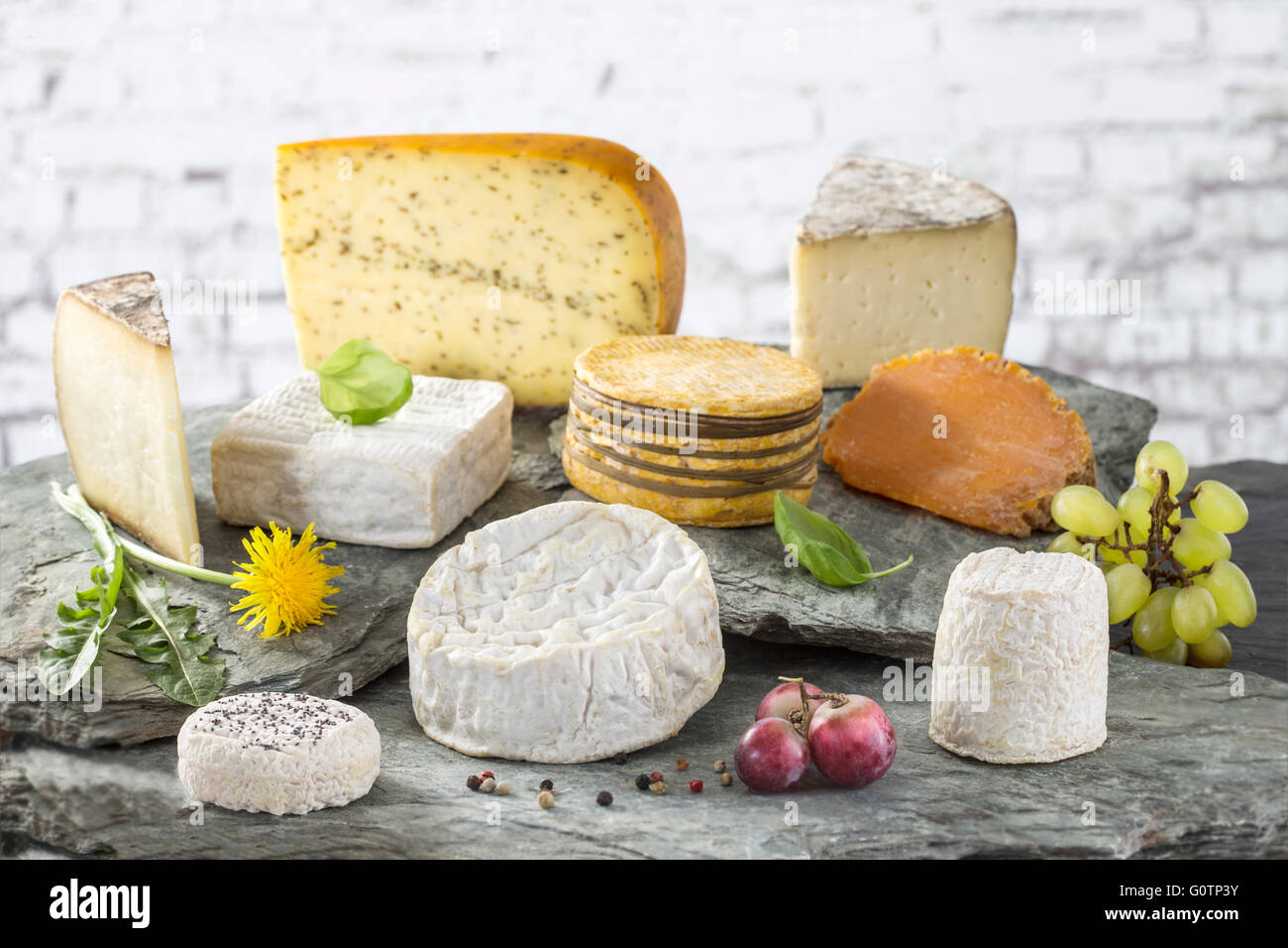 Assorted cheeses in various shapes and sizes Stock Photo - Alamy