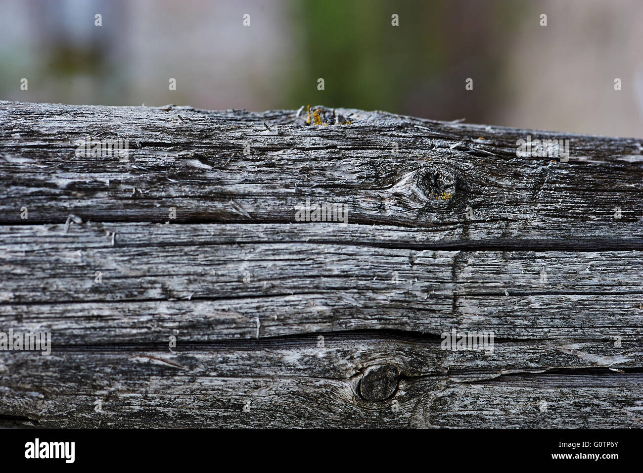 Old walnut tree trunk detail texture as background Stock Photo - Alamy