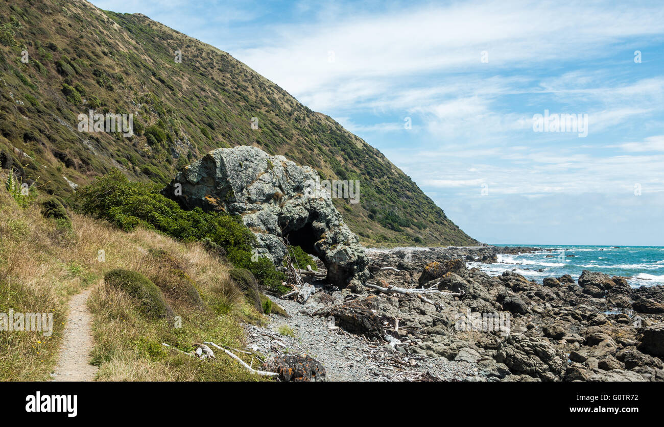 Raroa Reserve of New Zealand is a coastline area that is a very rocky ...