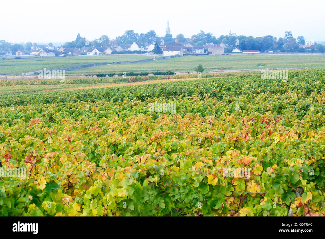 Meursault village hi-res stock photography and images - Alamy