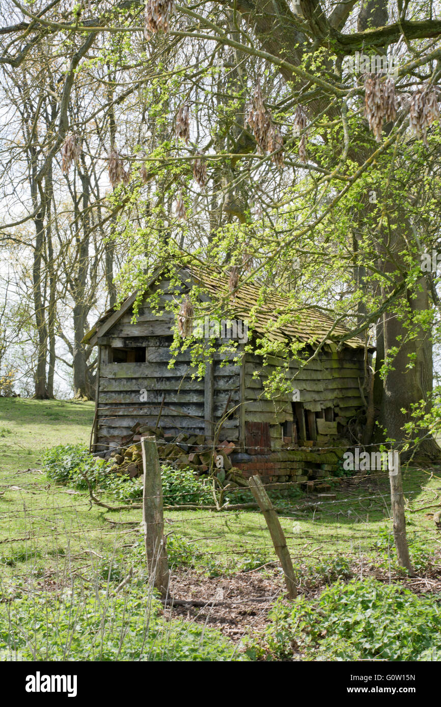 Dilapidated wooden shed Stock Photo - Alamy