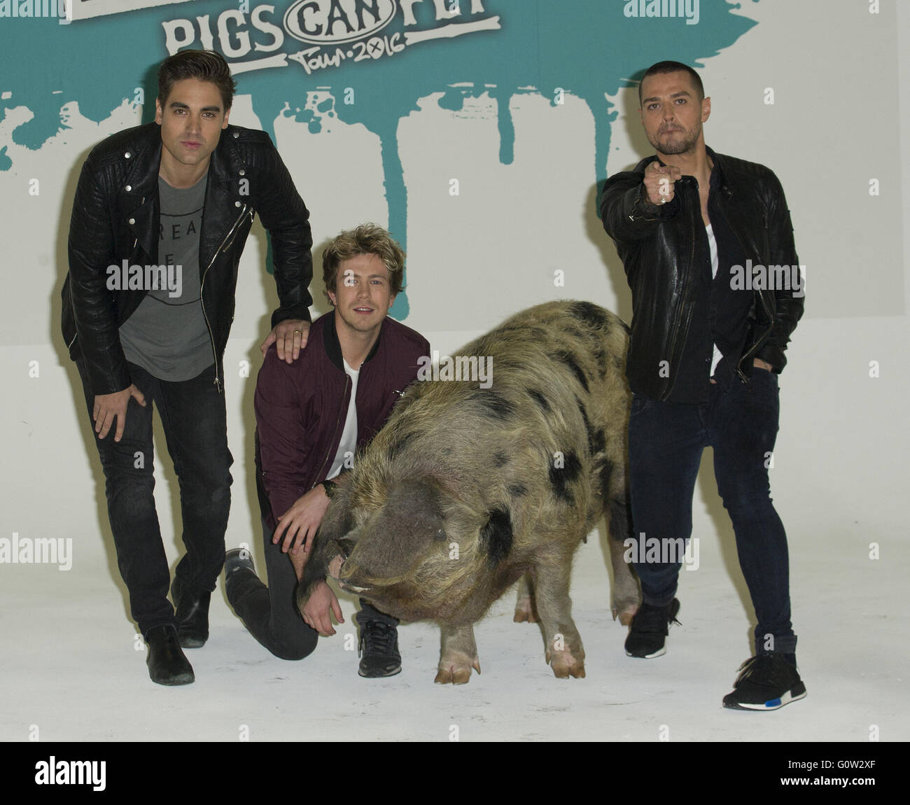 Pigs can fly hi-res stock photography and images - Alamy