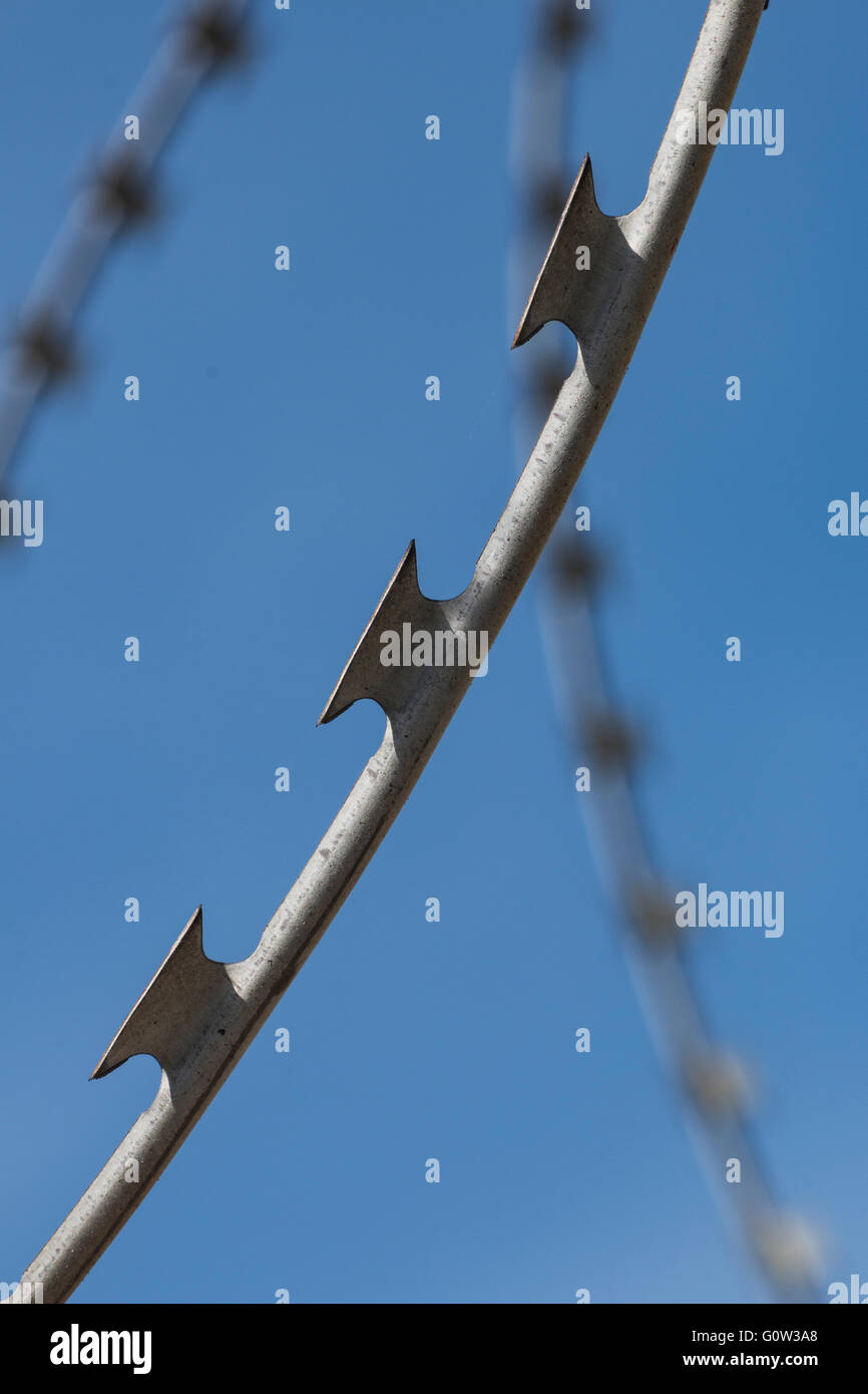 Barbed wire stretched along the brick walls Stock Photo - Alamy Barbed wire stretched along the brick walls Stock Photo - Alamy