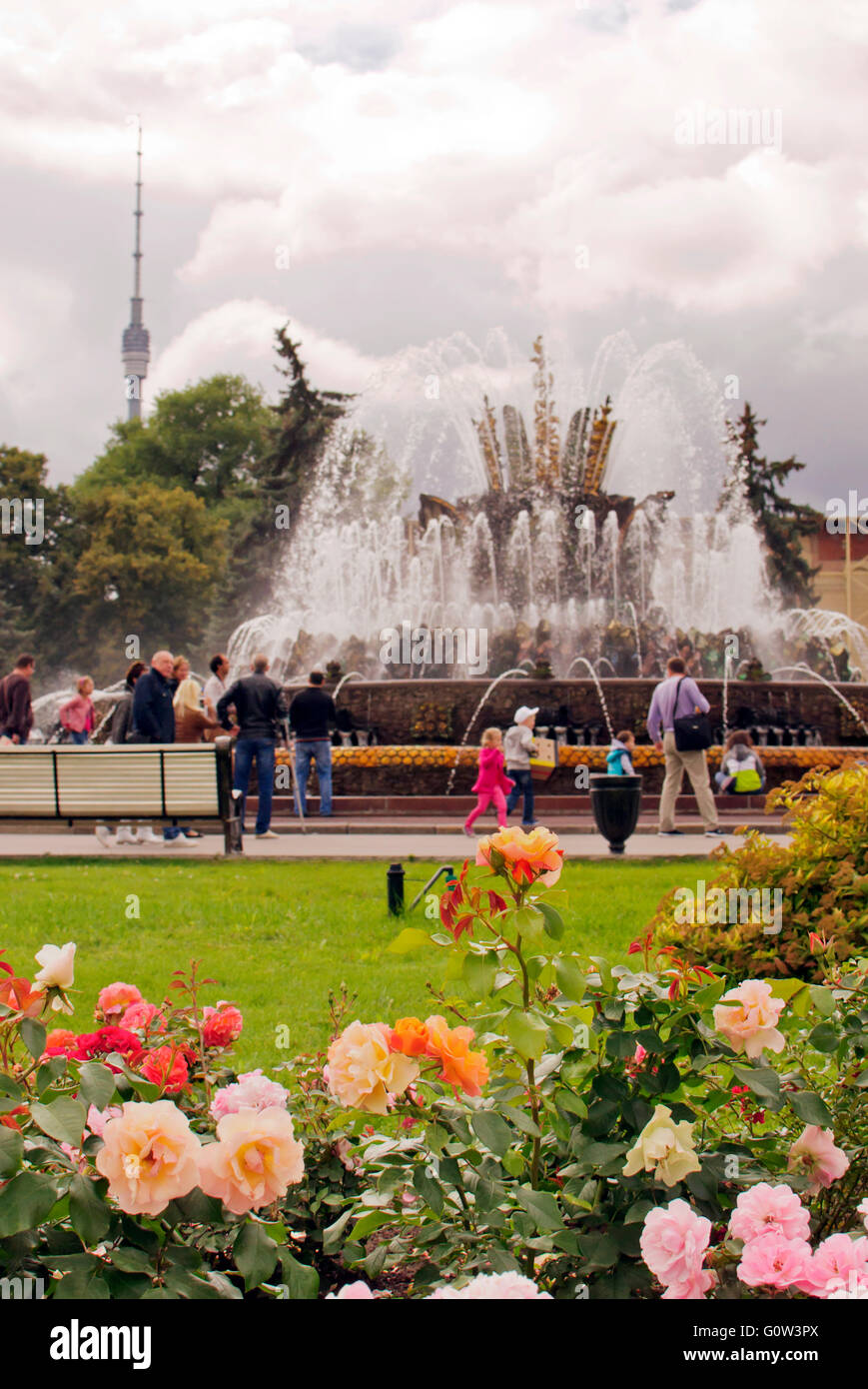 Russia national flower hi-res stock photography and images - Alamy