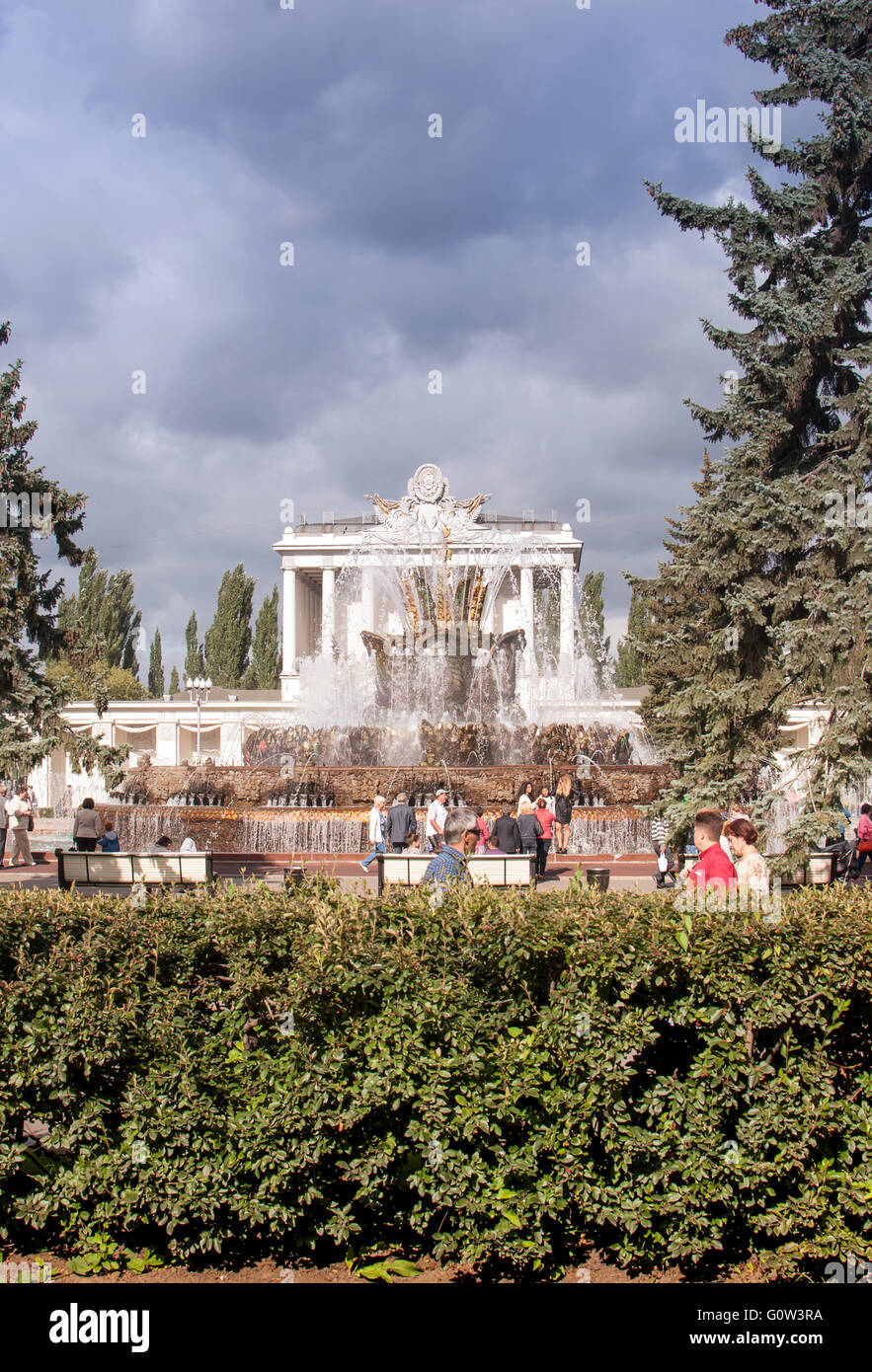 Russia national flower hi-res stock photography and images - Alamy