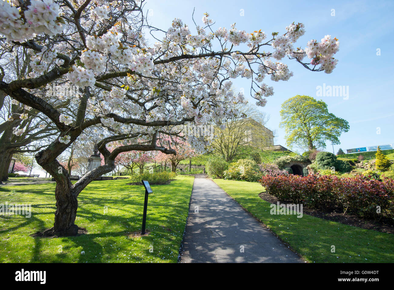 Spring at Nottingham Castle, Nottinghamshire England UK Stock Photo - Alamy