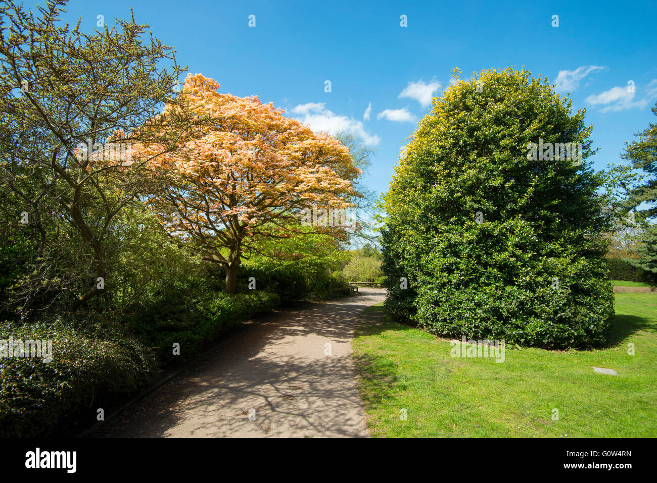 Spring at the Arboretum City Park in Nottingham, Nottinghamshire ...