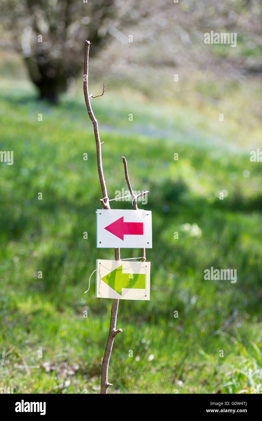 Green arrow path showing hi-res stock photography and images - Alamy
