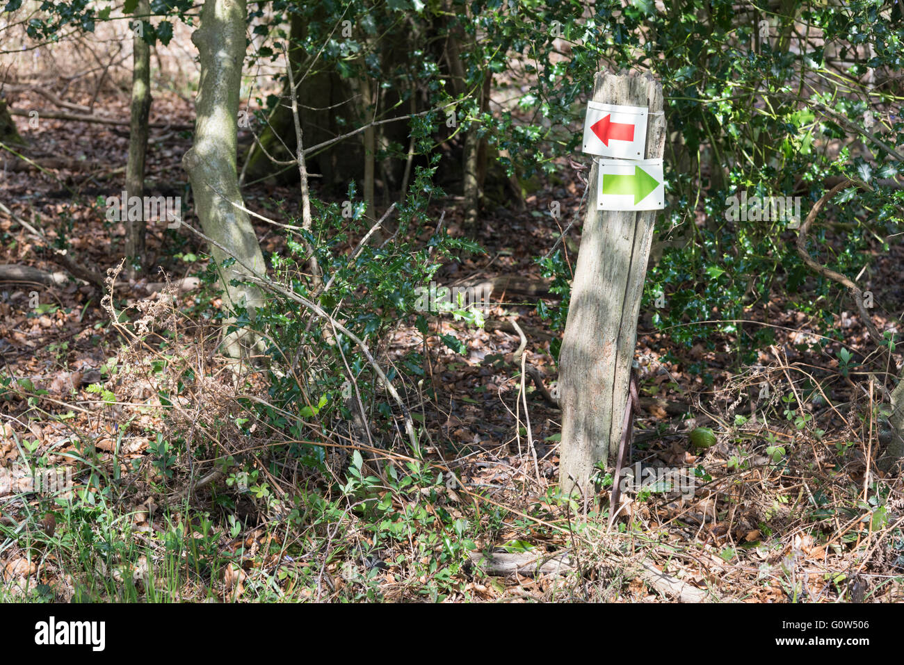 Arrows on pathway hi-res stock photography and images - Alamy