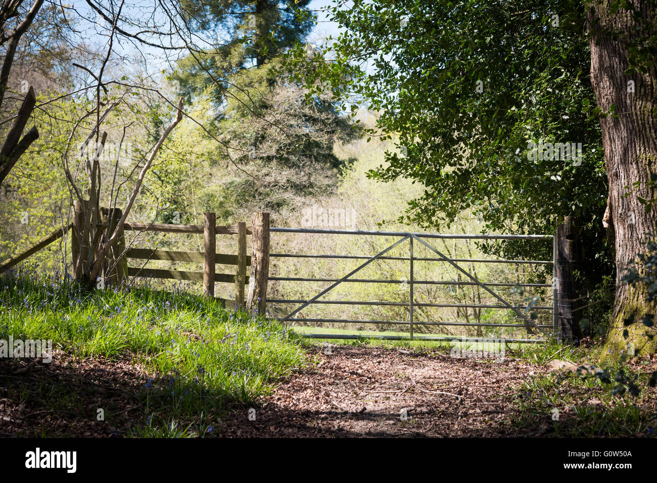 Metal farm gate hi-res stock photography and images - Alamy