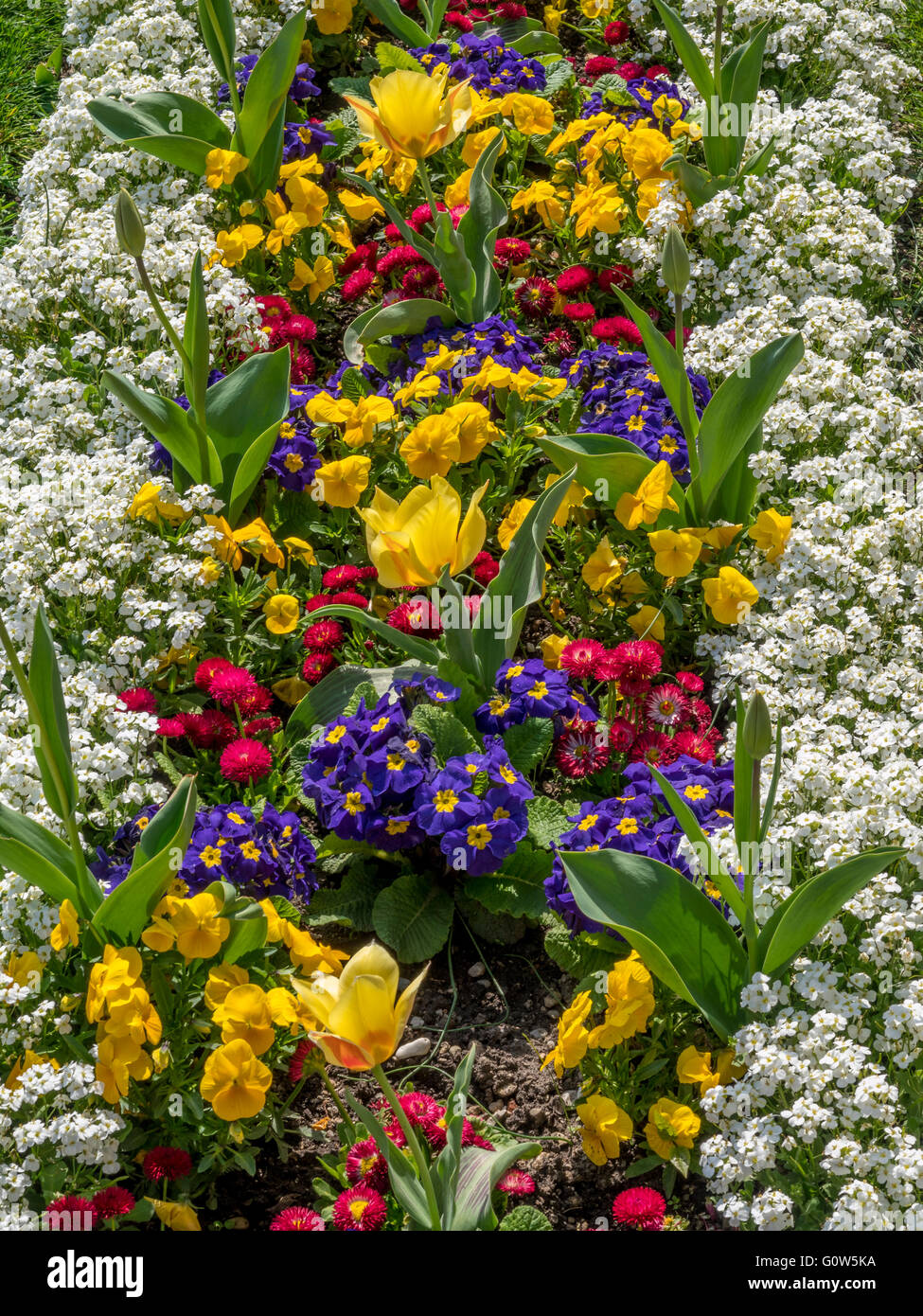Colorful flower bed with spring flowers in the palace garden of Dachau ...
