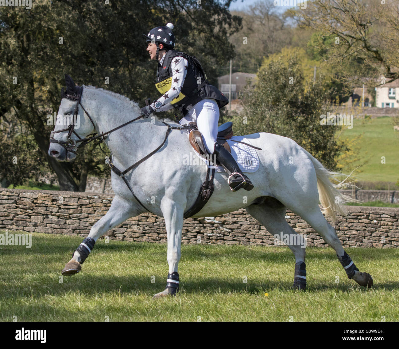 Badminton House, Badminton, UK. 04th May, 2016. Mitsubishi Motors ...
