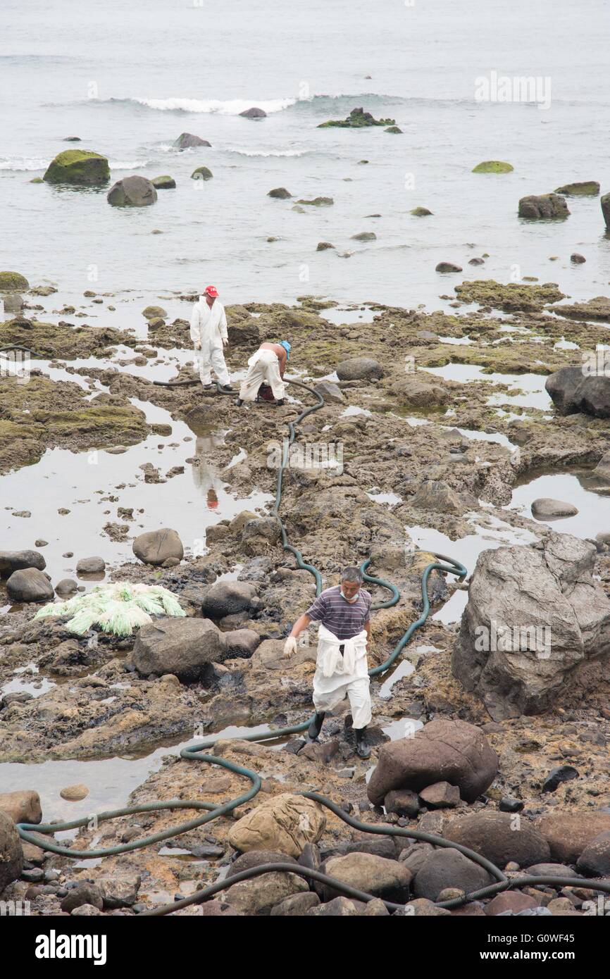 Oil spilled in container hi-res stock photography and images - Alamy