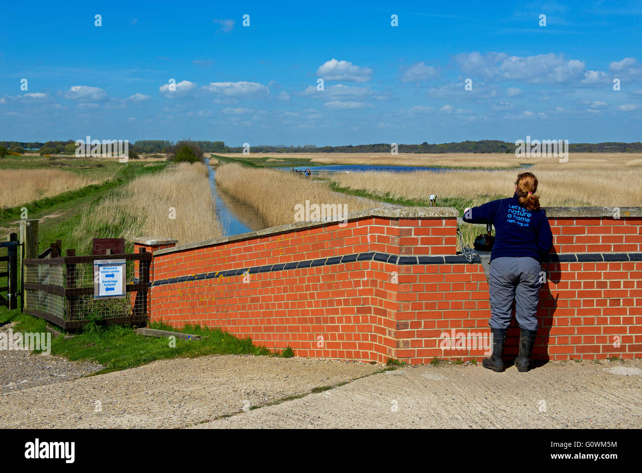 Young woman operating sluice gate at Minsmere, an RSPB bird reserve ...