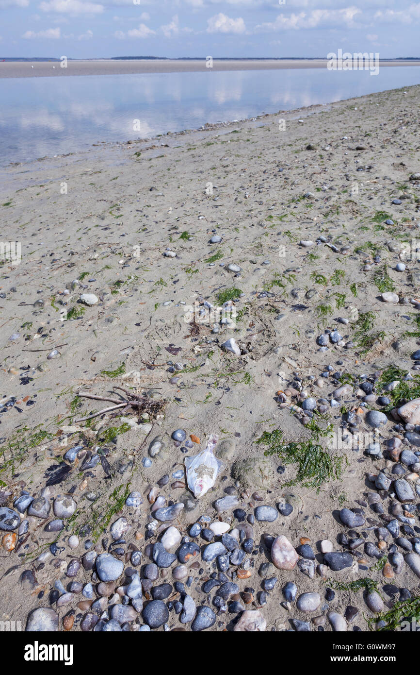 Dead fish pond pollution hi-res stock photography and images - Alamy