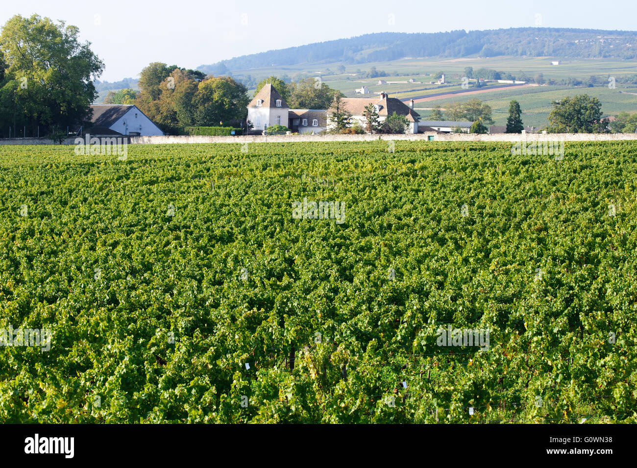 Meursault village hi-res stock photography and images - Alamy