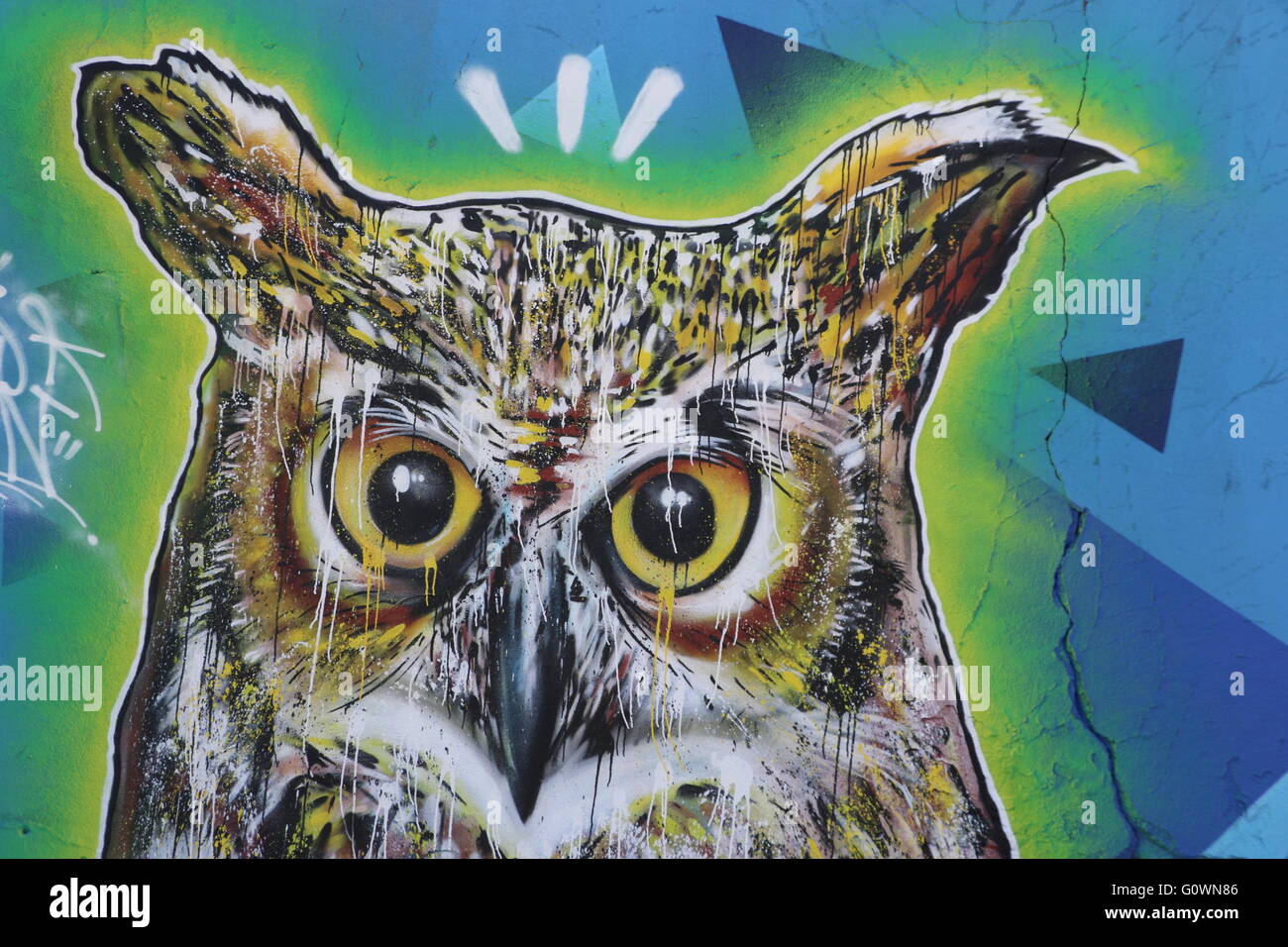 Urban street graffiti owl hi-res stock photography and images - Alamy