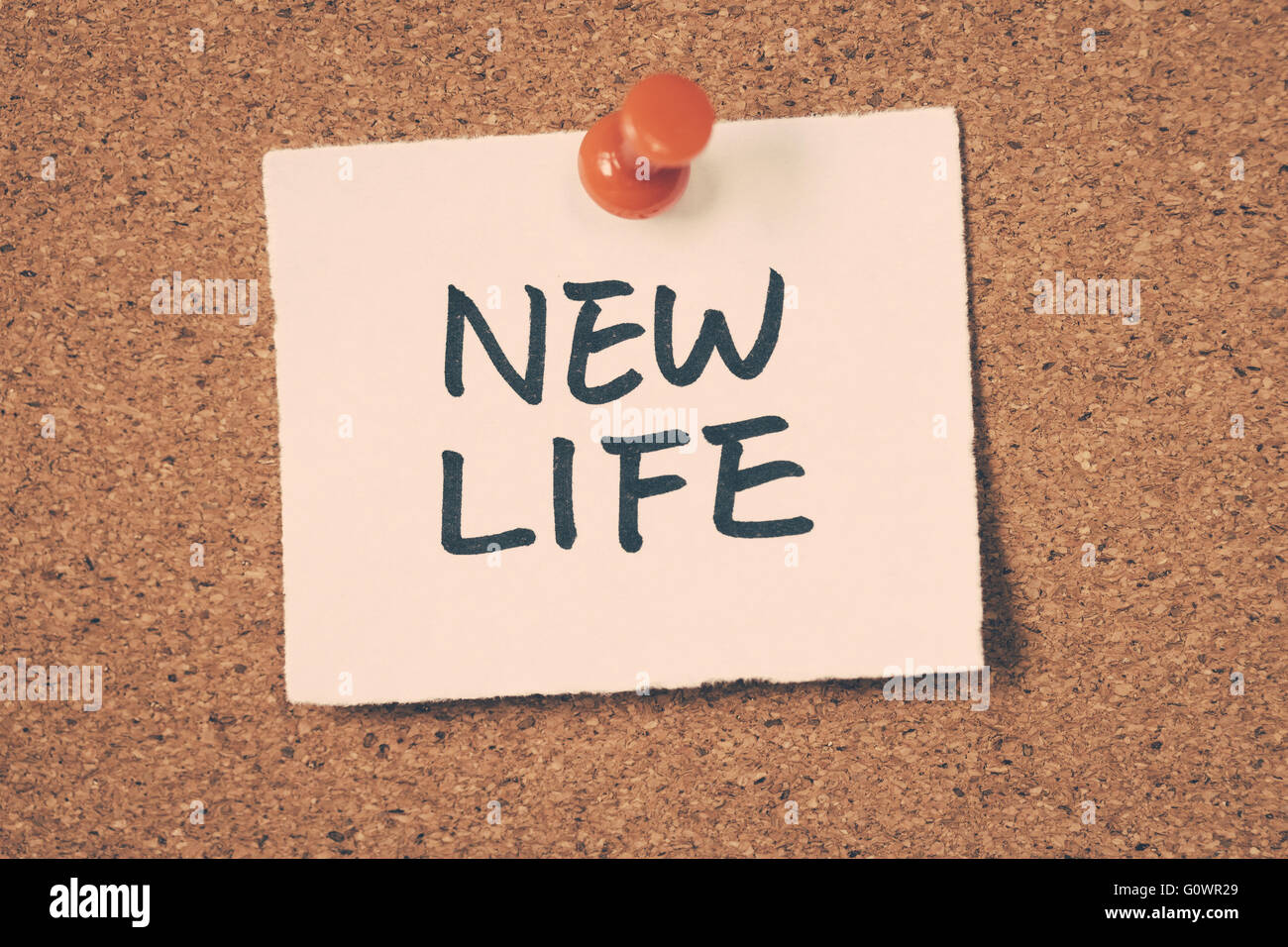 New start words sign hi-res stock photography and images - Alamy