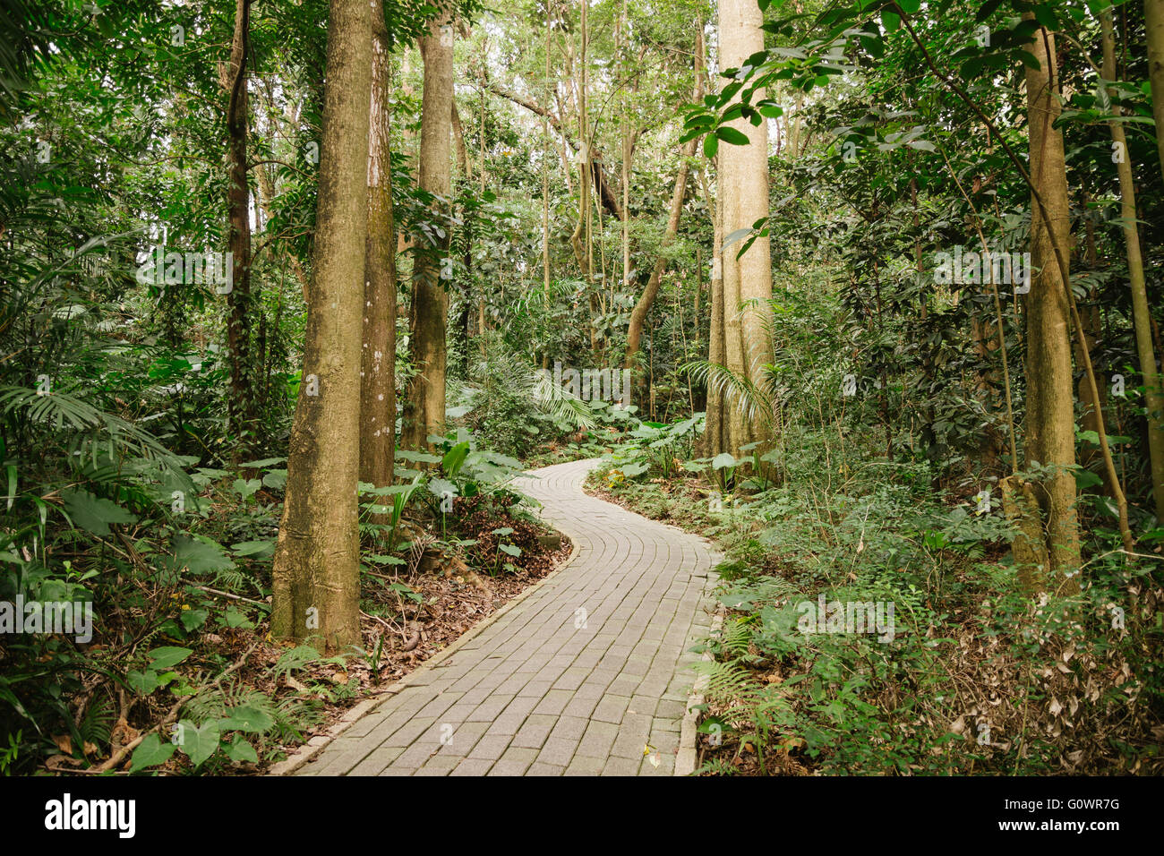 Walking path in park tropical hi-res stock photography and images - Alamy