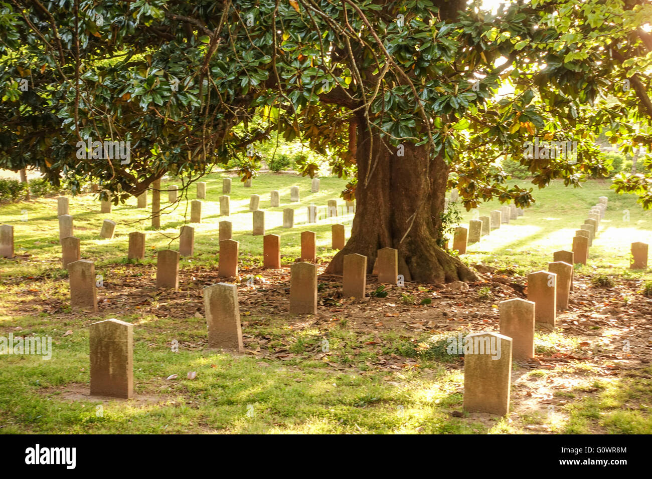 Military cemetery - gravestones in the backlight Stock Photo - Alamy
