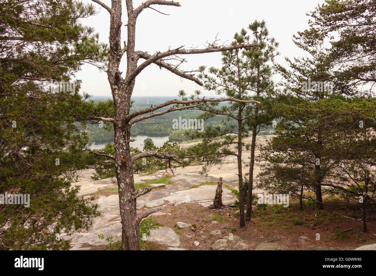 On the Top of Sone Mountain Georgia Stock Photo - Alamy