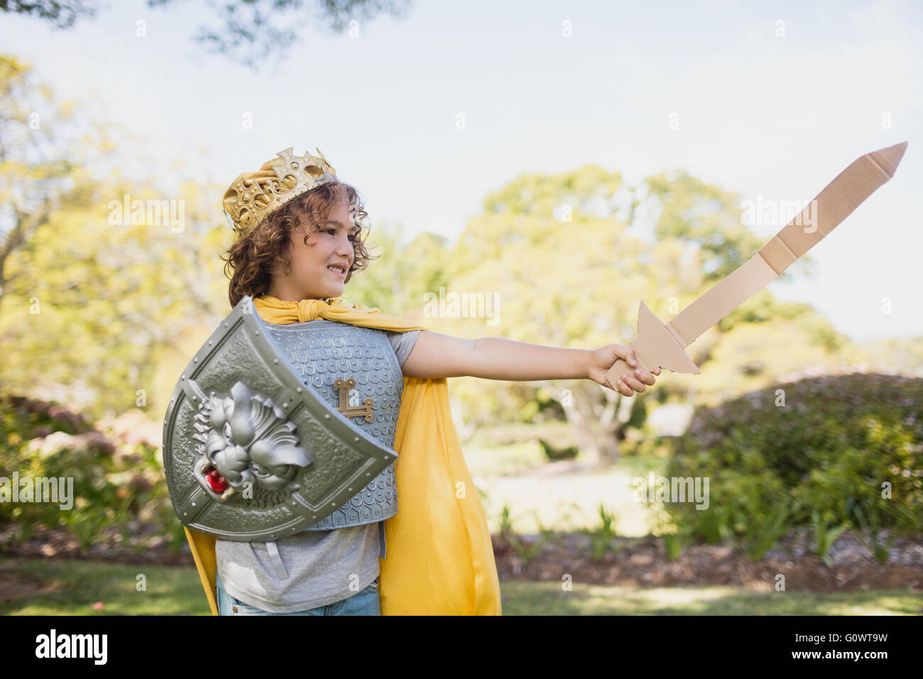 Profile view of boy dressing up in knight Stock Photo - Alamy