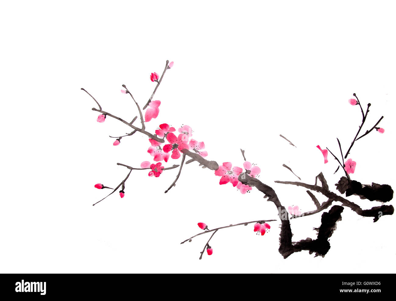 Japanese cherry blossom painting Cut Out Stock Images & Pictures - Alamy