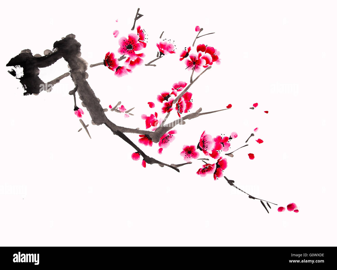 Chinese traditional ink cherry painting Stock Photo - Alamy