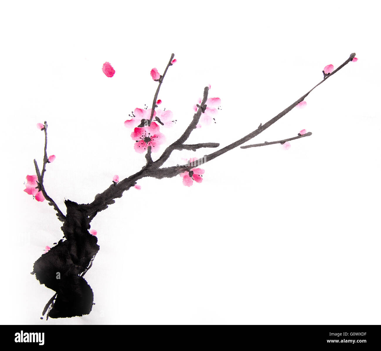 Chinese traditional ink cherry painting Stock Photo - Alamy