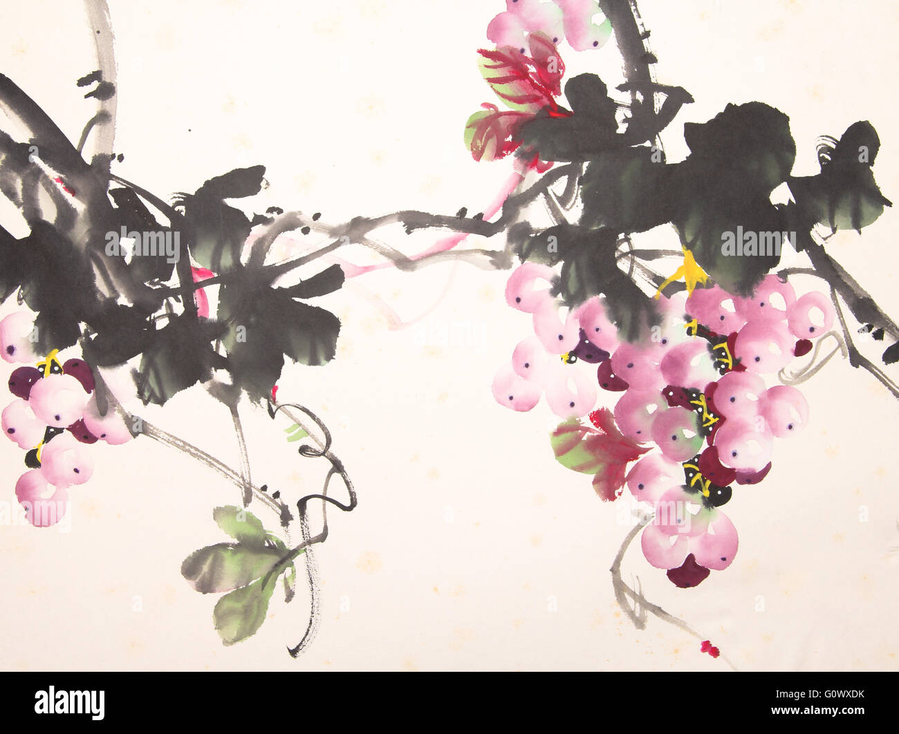 Ink grape hi-res stock photography and images - Alamy