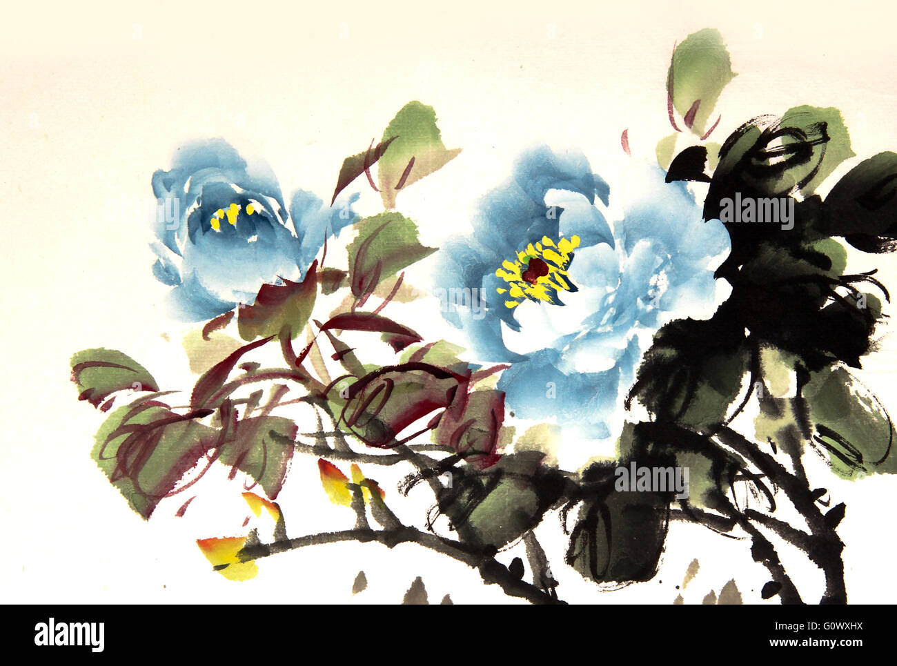 Chinese peony ink drawing Stock Photo - Alamy