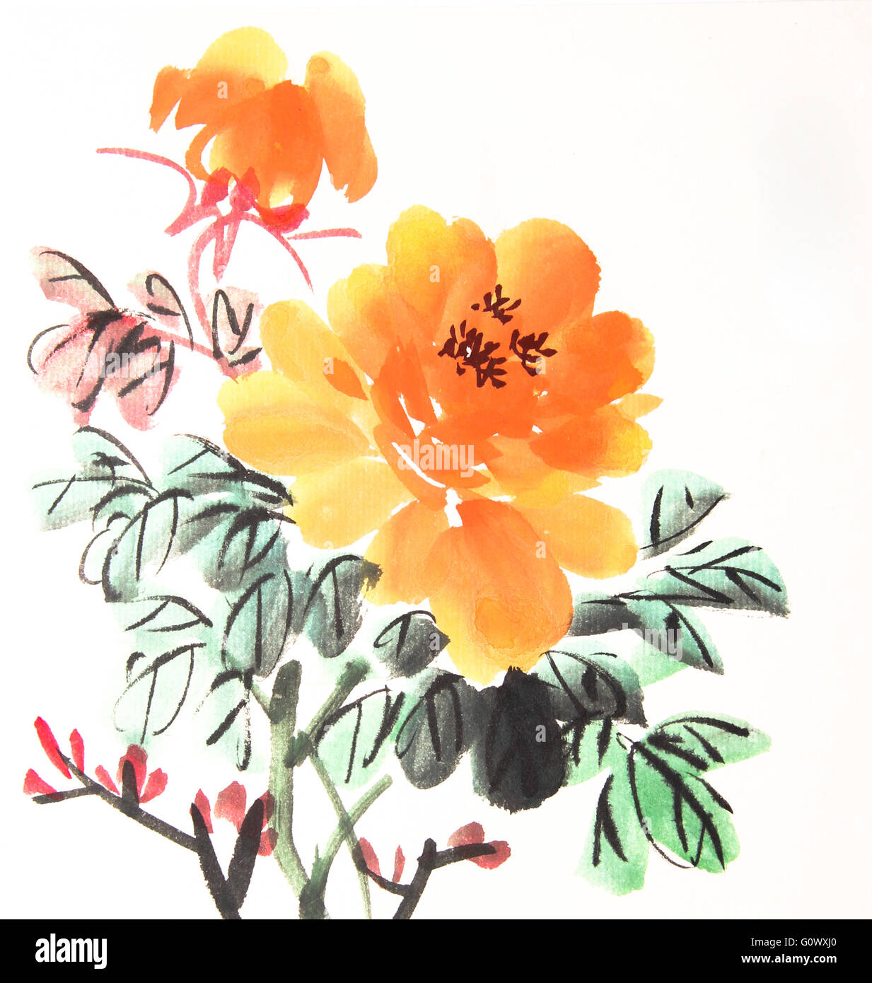 Chinese peony ink drawing Stock Photo - Alamy