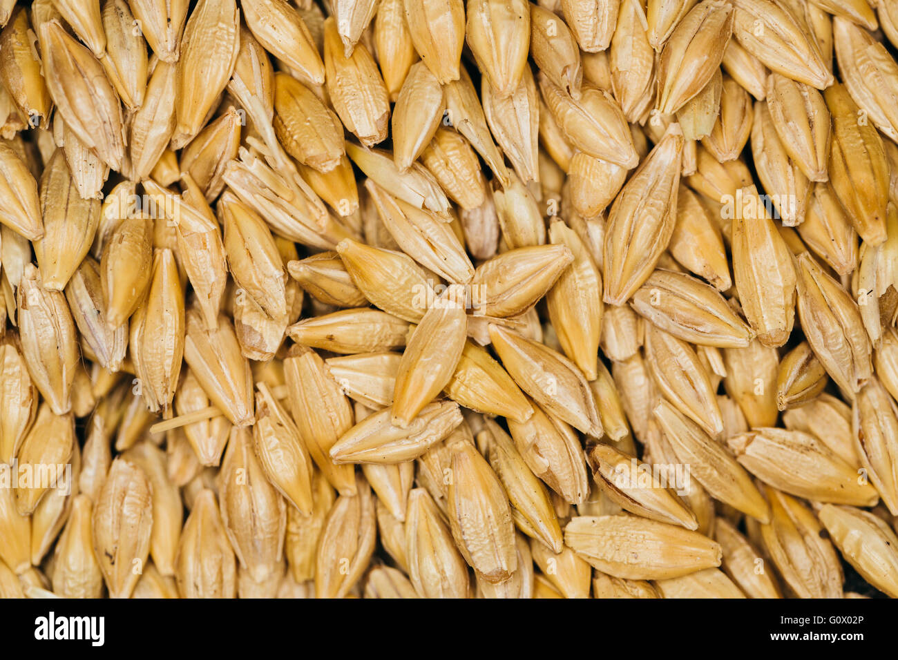 Field wheat agriculture beans hi-res stock photography and images - Alamy