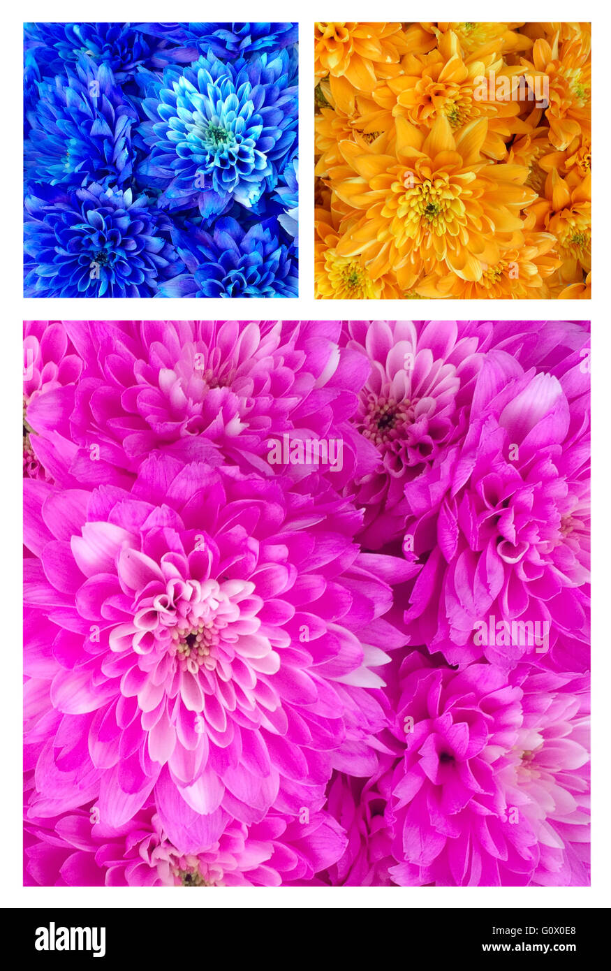Spring picture flowers in Cut Out Stock Images & Pictures - Alamy