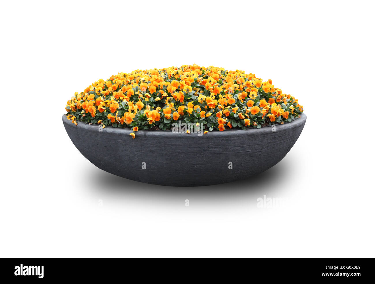 Spring flowers in pot Cut Out Stock Images & Pictures - Alamy