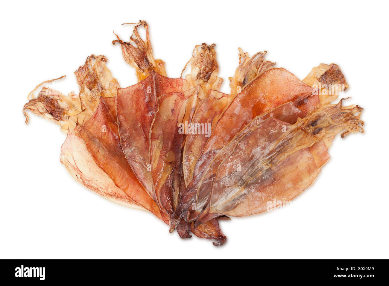 dried squid isolated on white background with path Stock Photo - Alamy