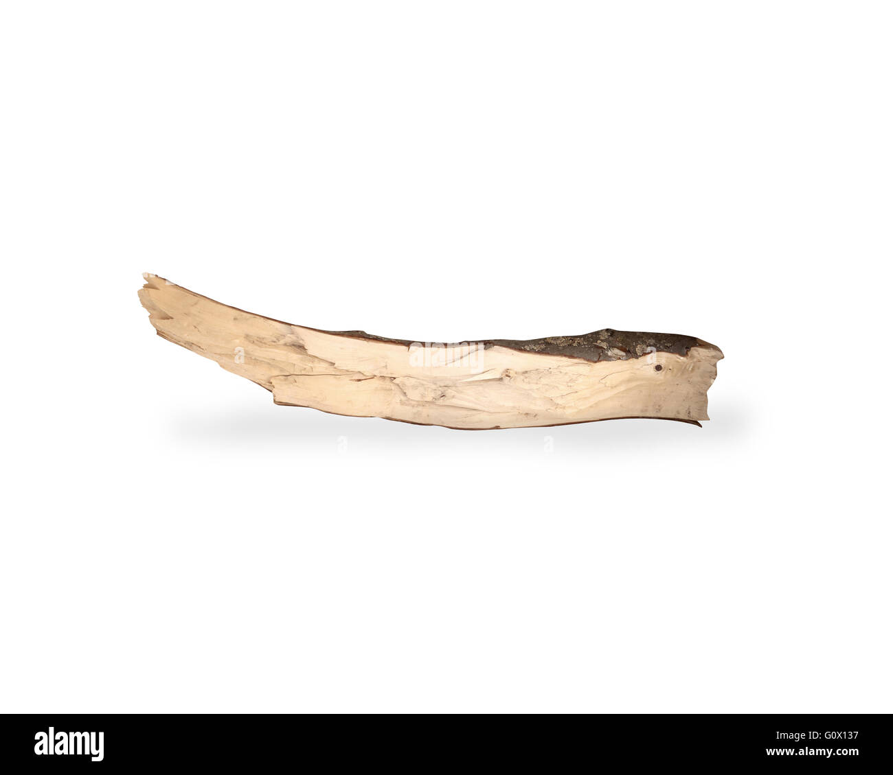 Tree trunk tree bark piece hi-res stock photography and images - Alamy