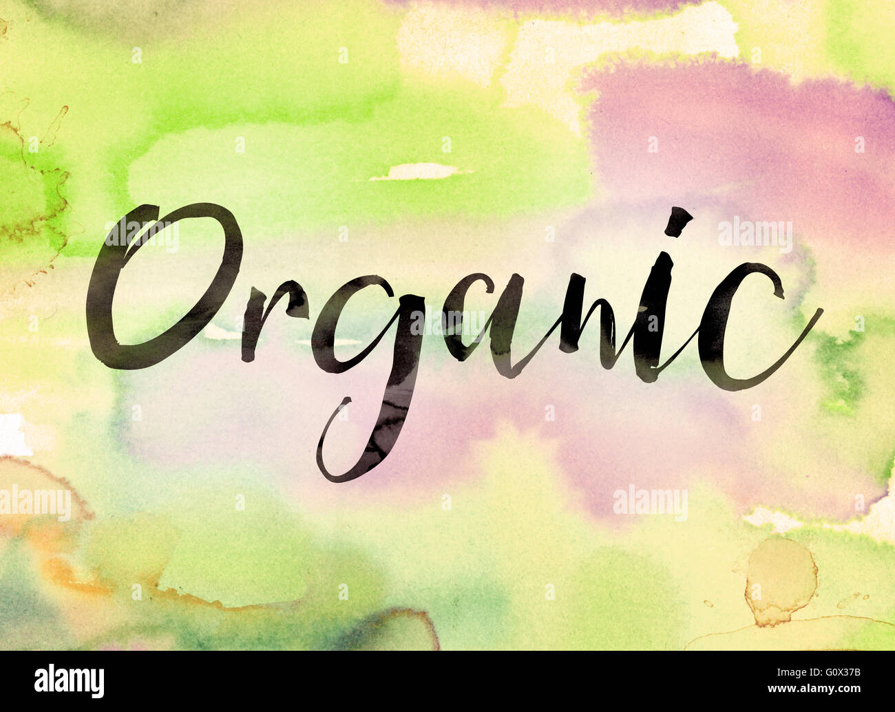 The word "Organic" written in black paint on a colorful watercolor ...