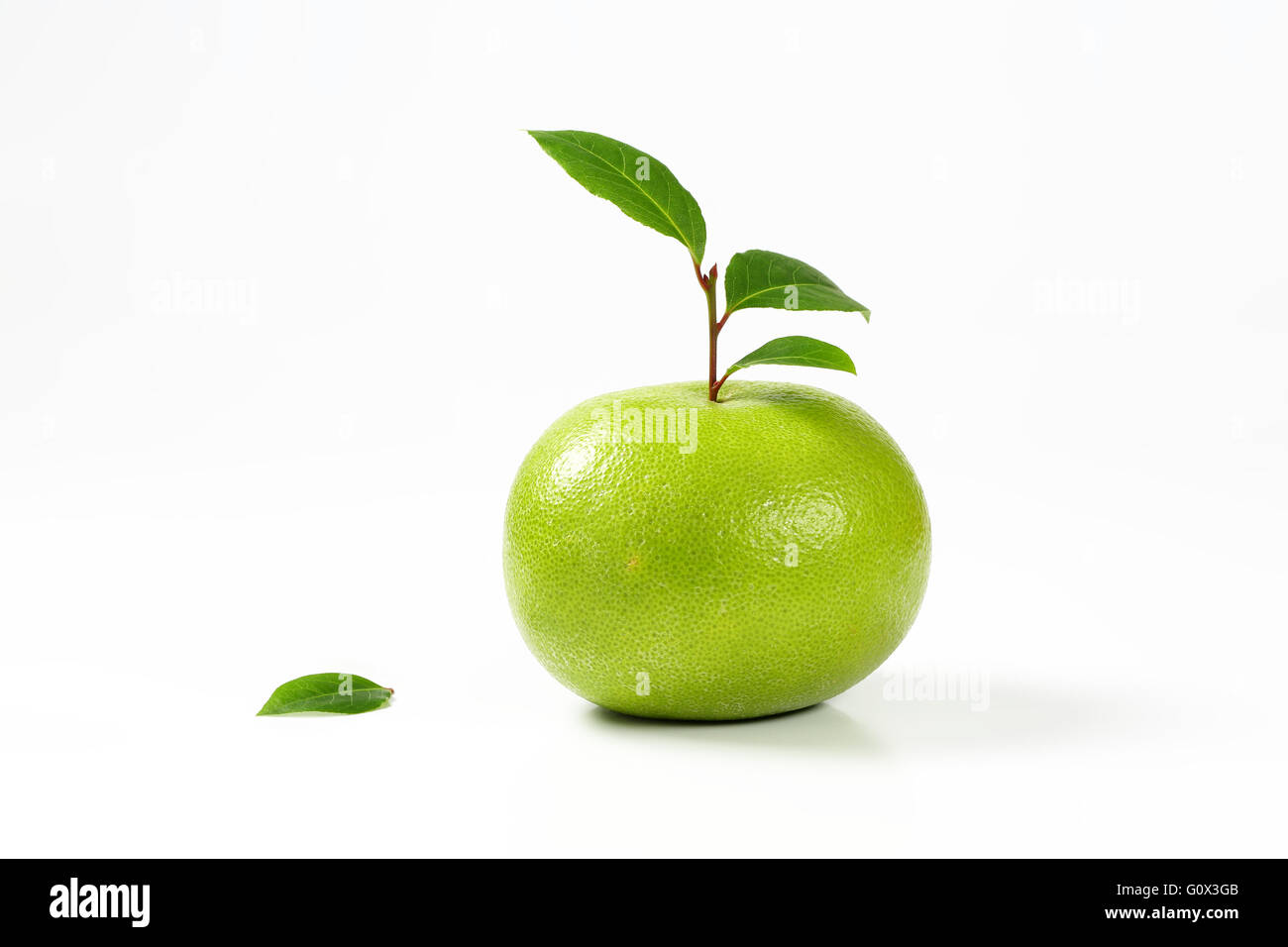 ripe green grapefruit with leaves on white background Stock Photo - Alamy