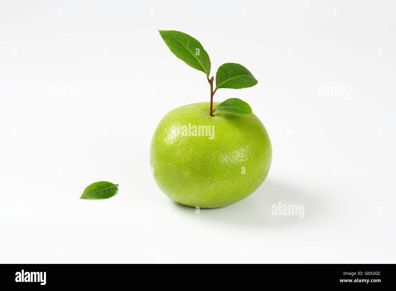 ripe green grapefruit with leaves on white background Stock Photo - Alamy