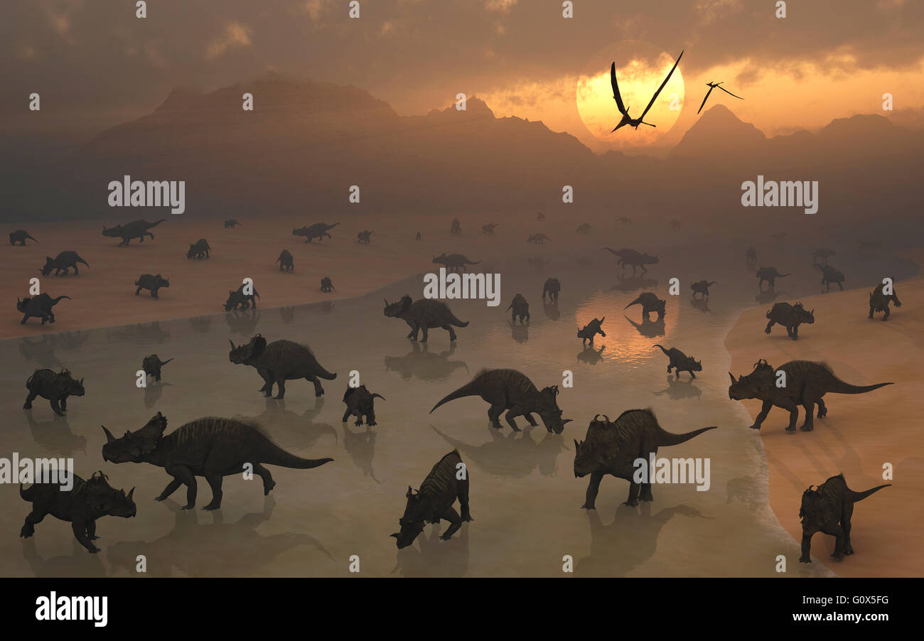 A Herd Of Centrosaurus Dinosaurs Stock Photo - Alamy