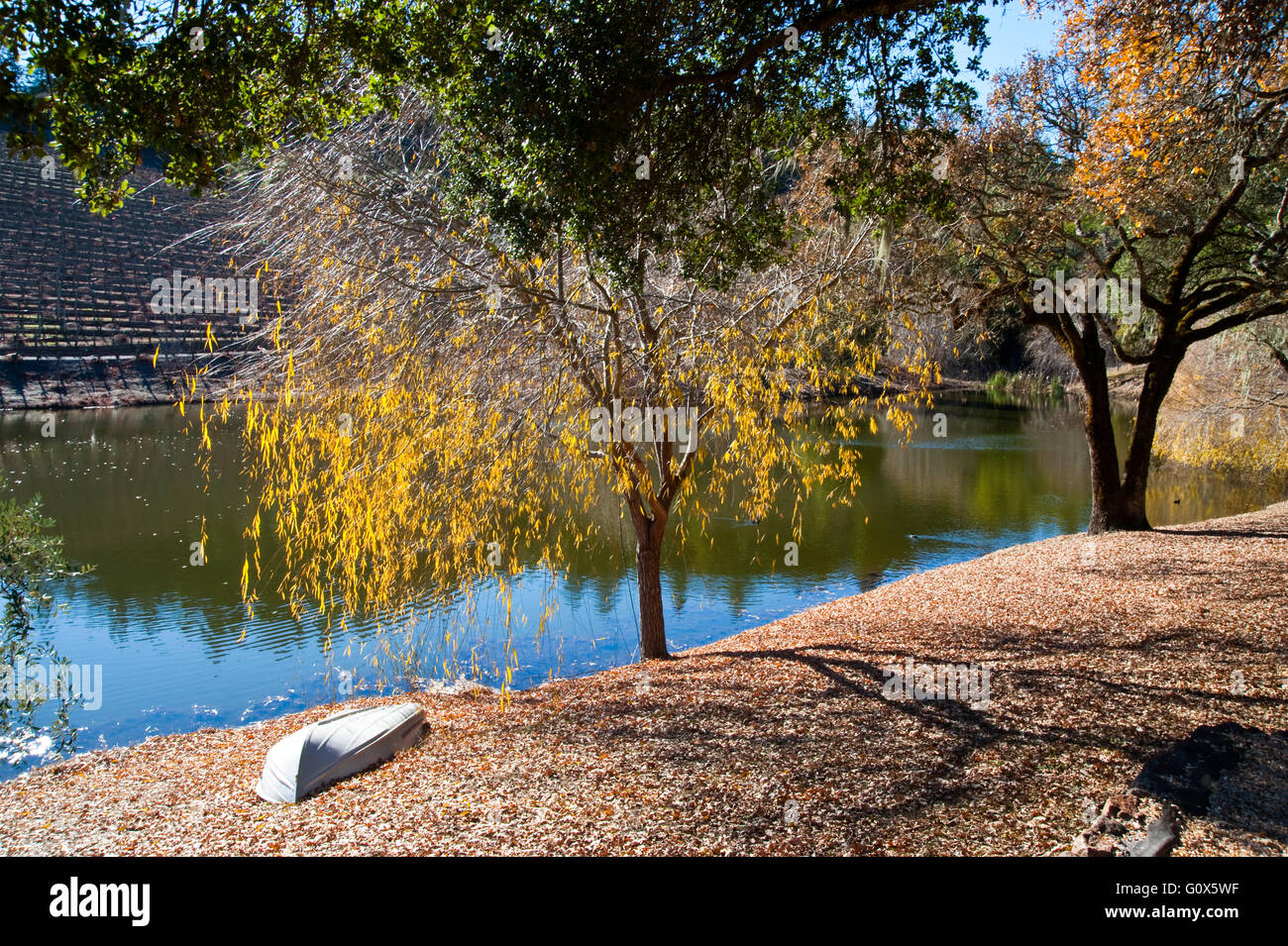 Vineyard and pond in Sonoma CA Stock Photo - Alamy