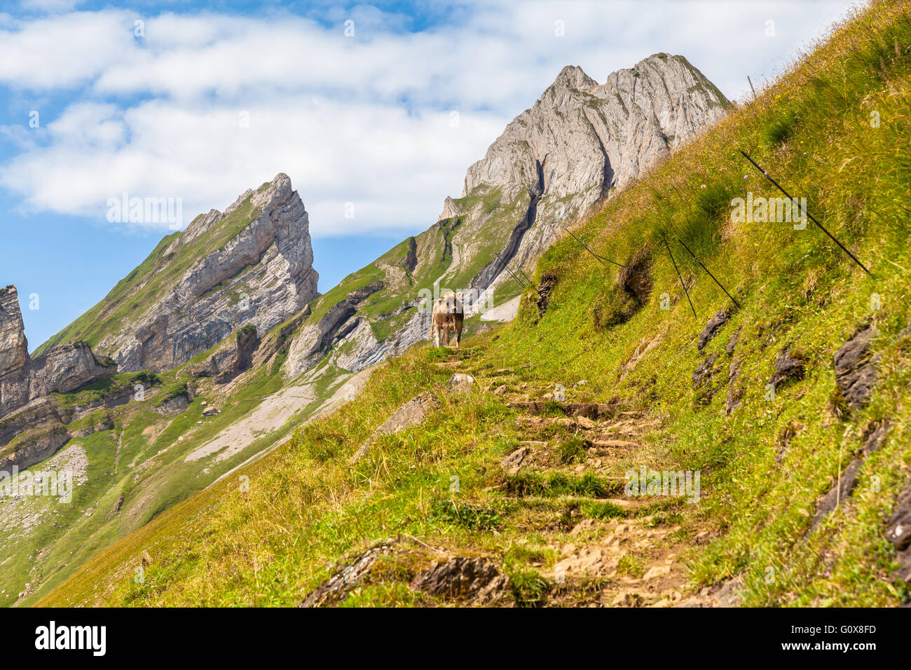 Switzerland appenzell alpstein view hi-res stock photography and images ...