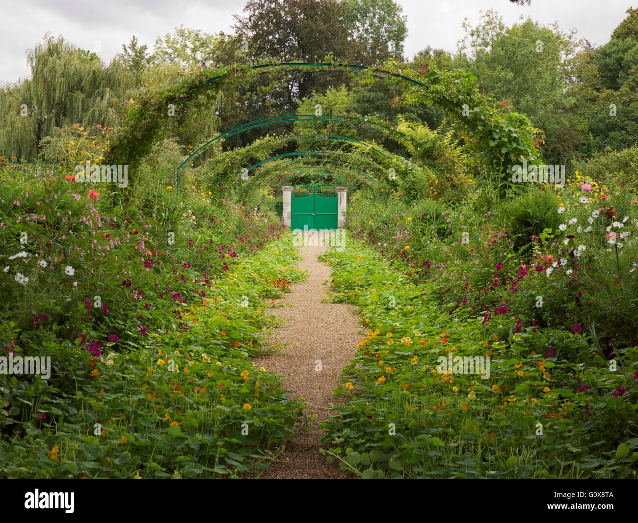 Monet's garden in Giverny, Normandy Stock Photo - Alamy