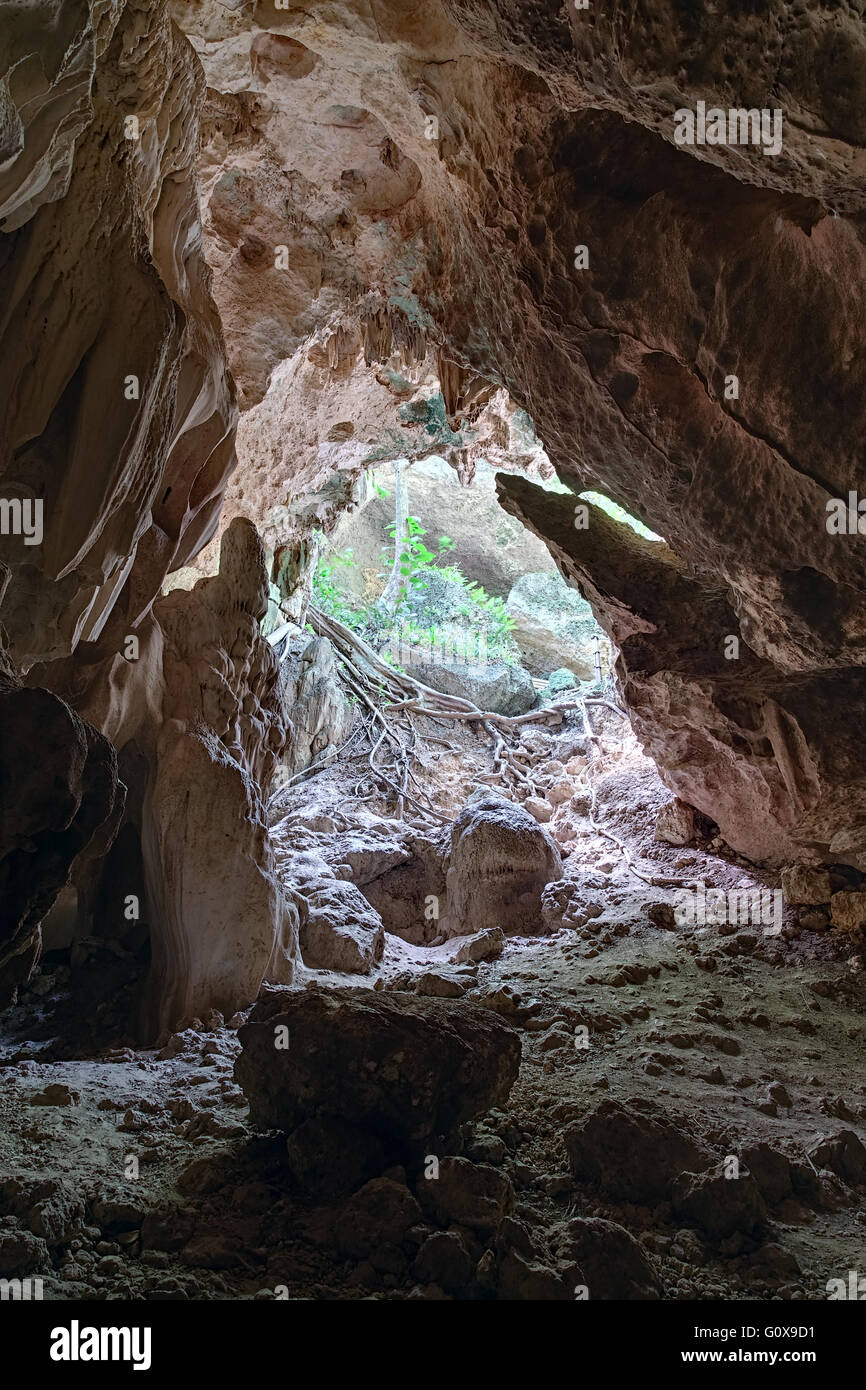 Entrance to Cueva Ventana - Window Cave in Puerto Rico Stock Photo - Alamy